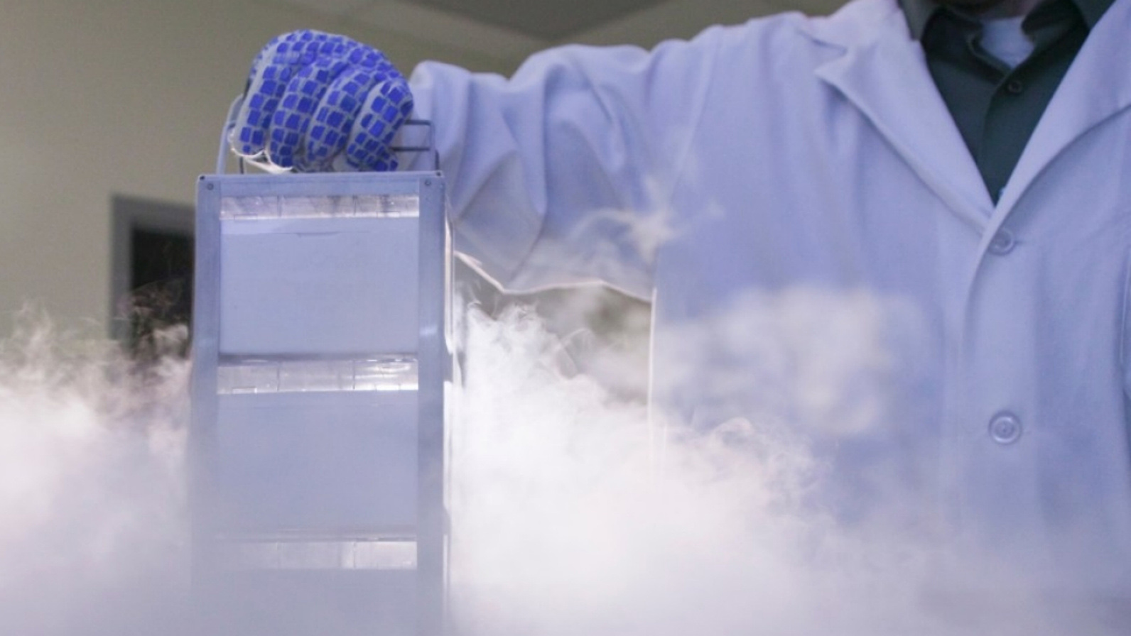 NOTICIAS DEL SECTOR » CEDOL