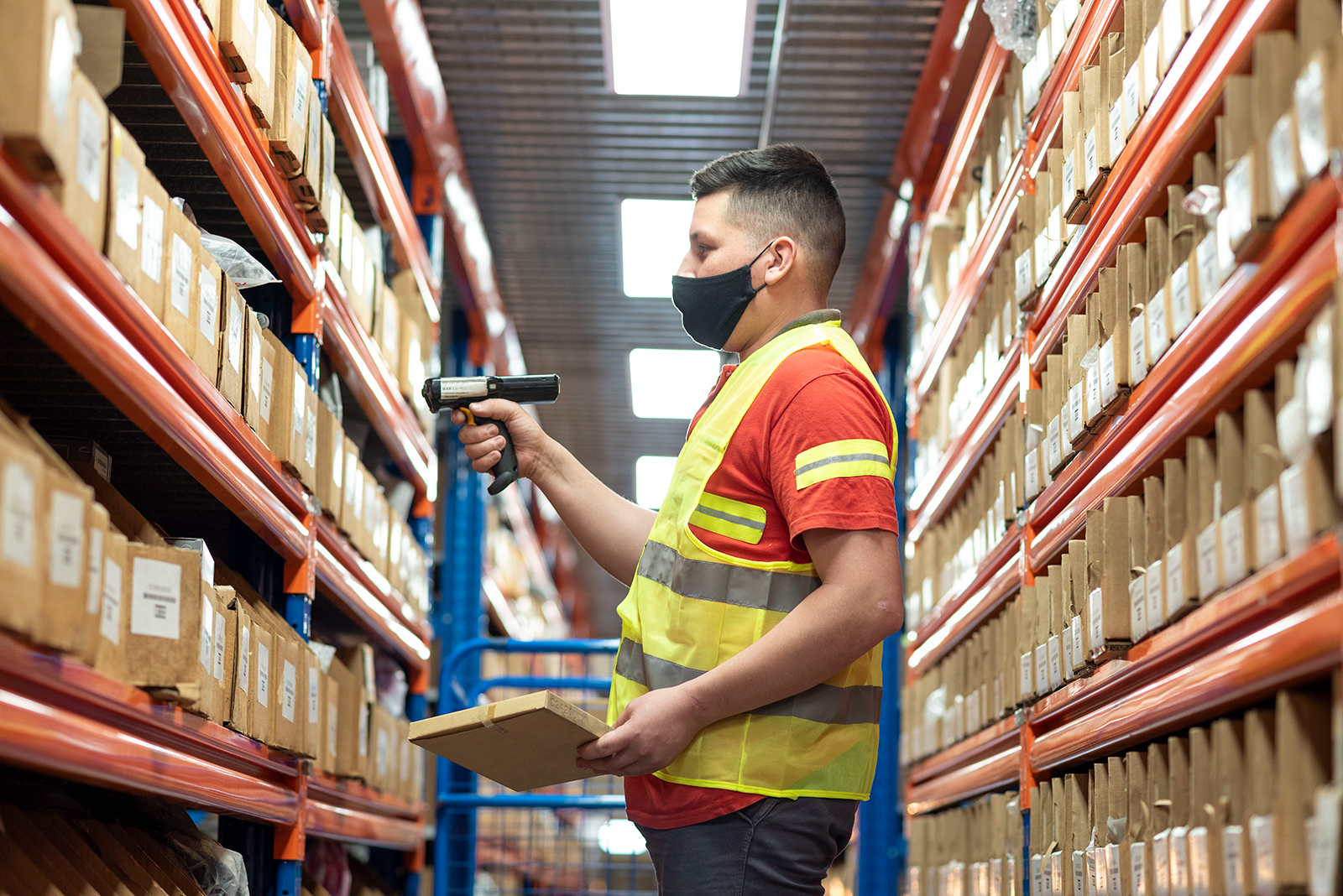 NOTICIAS DEL SECTOR » CEDOL